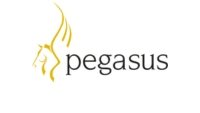 Pegasus Opera 3 ERP Software
