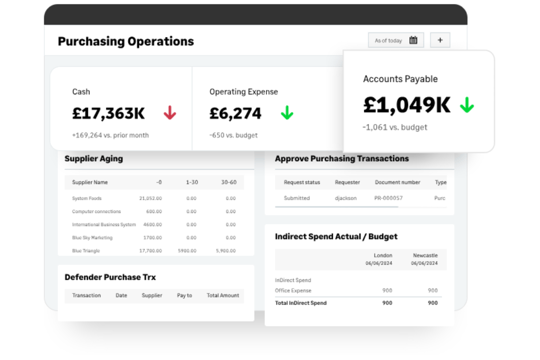 Sage Intacct ERP System